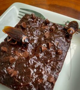 Do They Really Put Cockroaches in Chocolate?