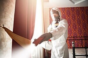 How To Avoid Cockroaches in Hotels - Cockroach Zone